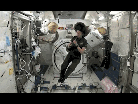 Cats In Zero Gravity Gif