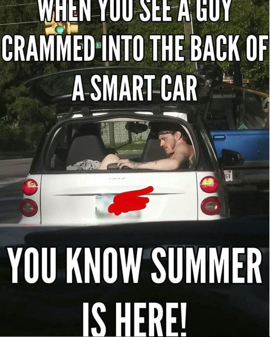 Summer Is Here Meme