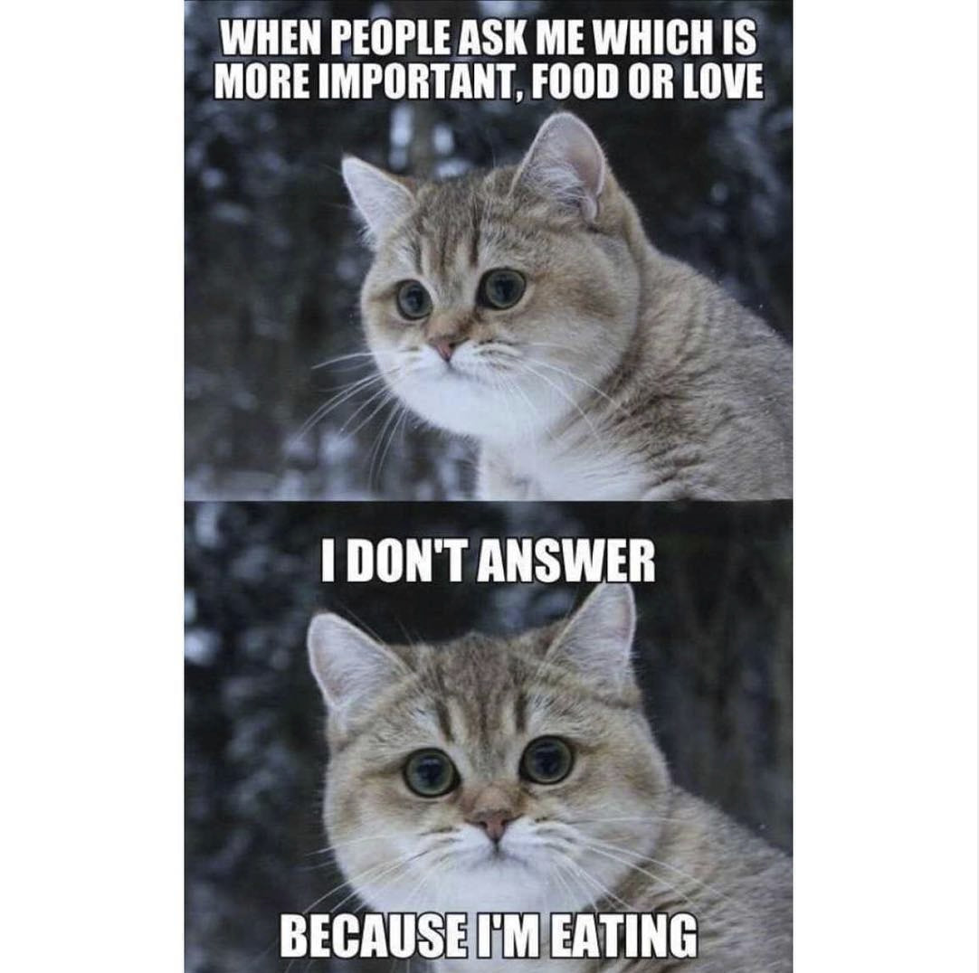 Funny Hungry Memes