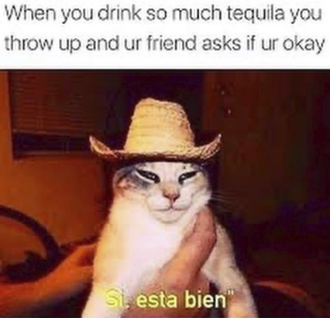 Memes Dobles