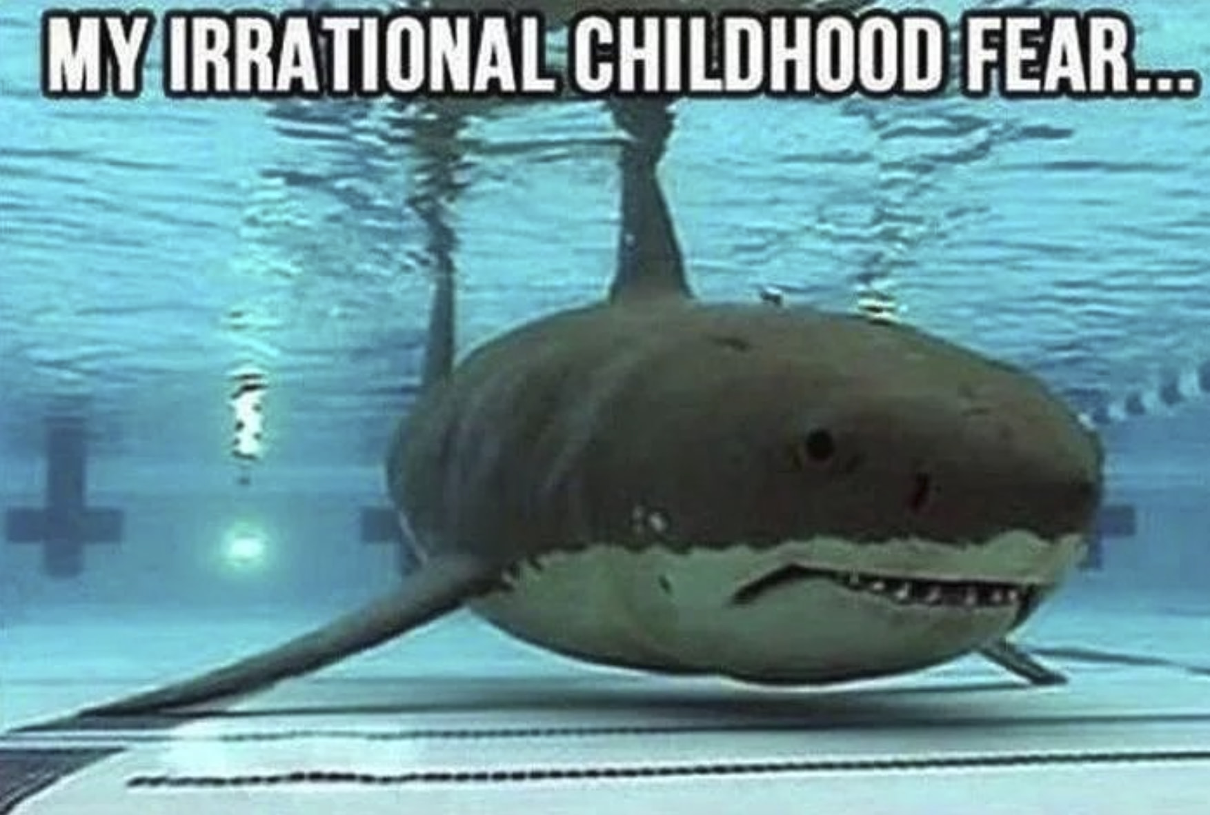 Baby Shark Memes
