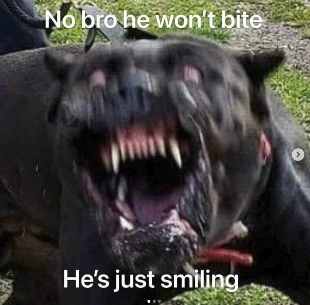 Creepy Dog Meme