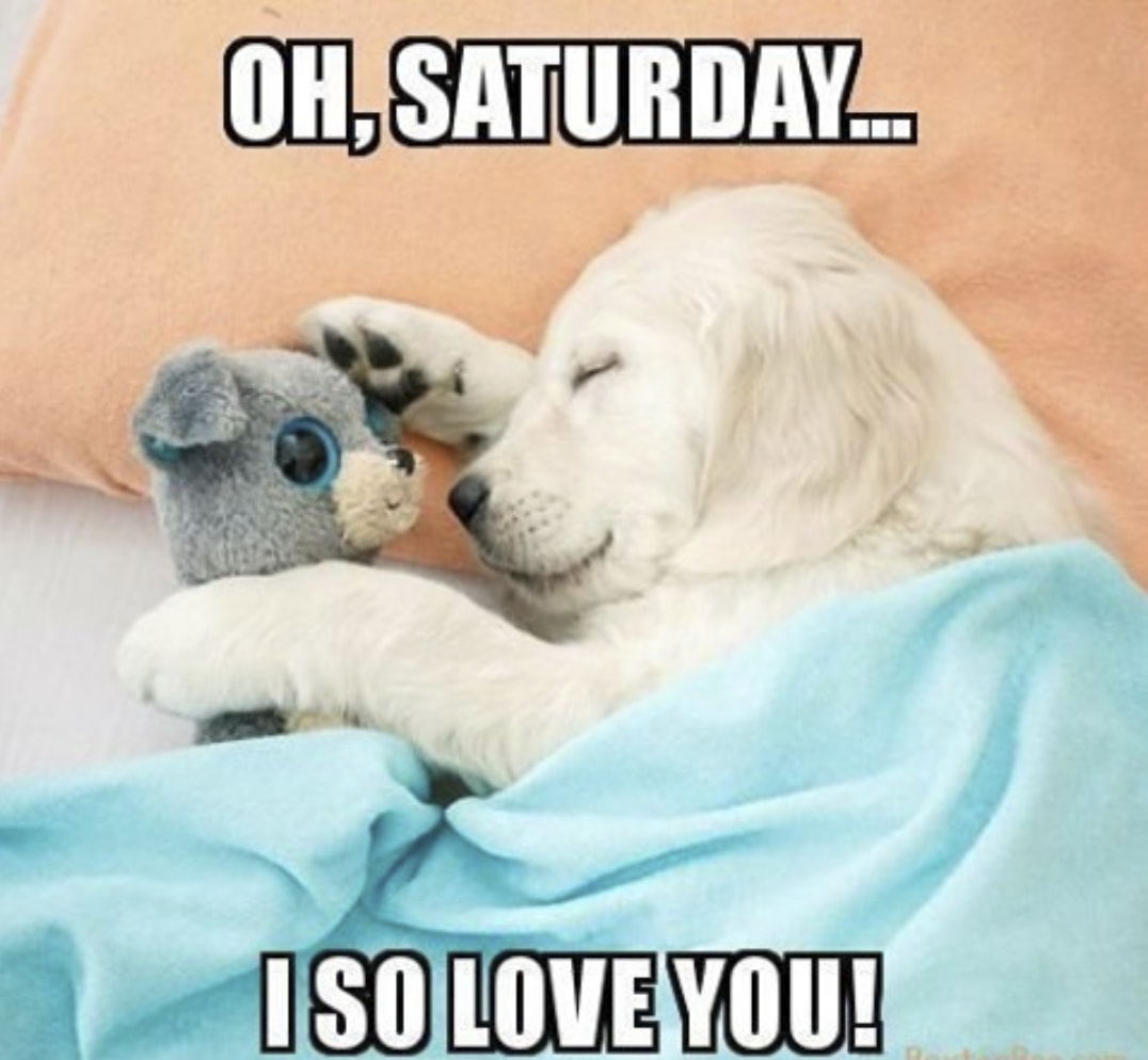 Funny Saturday Memes