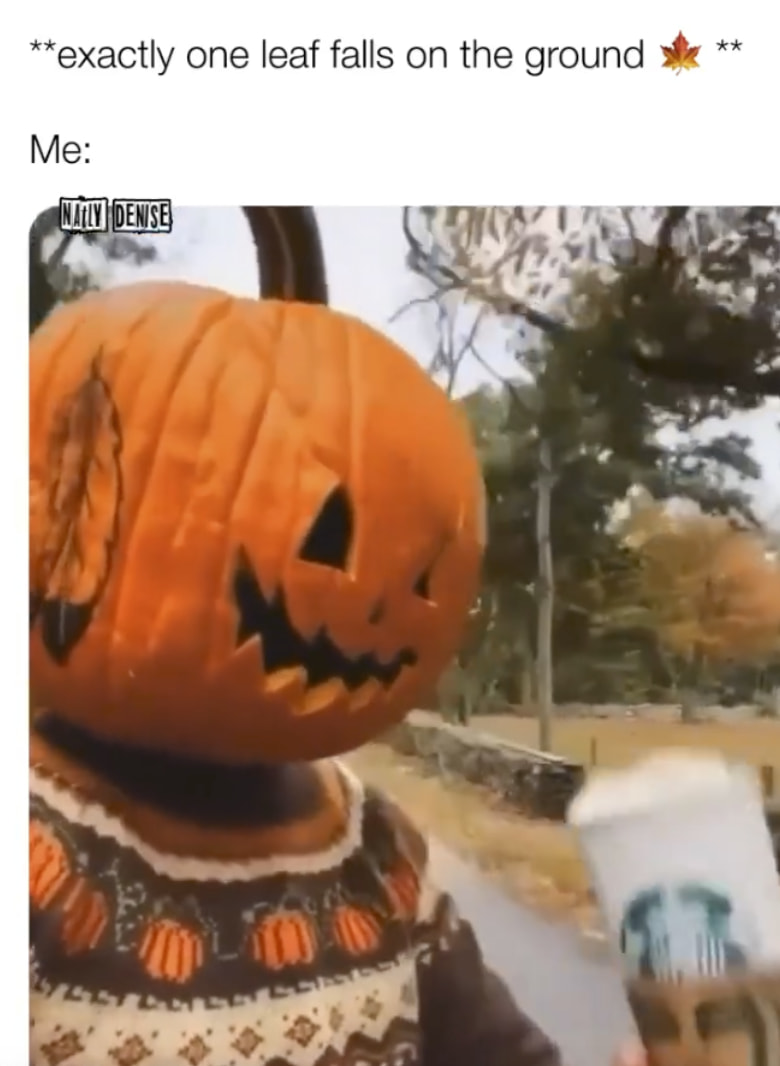 Almost Fall Meme