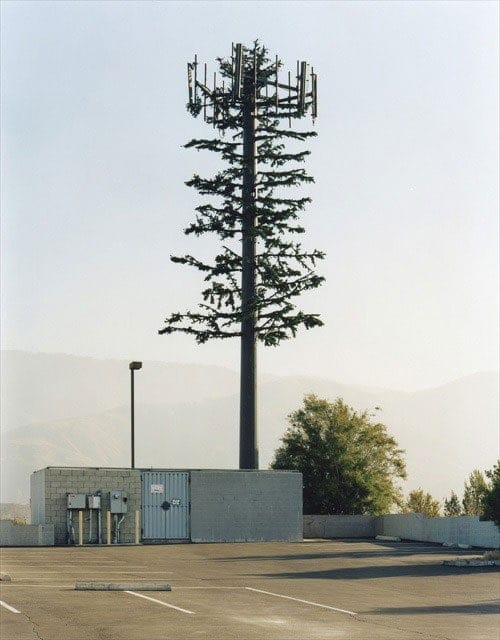 These Poorly Disguised Cellphone Towers Aren't Fooling Anyone - Secret ...