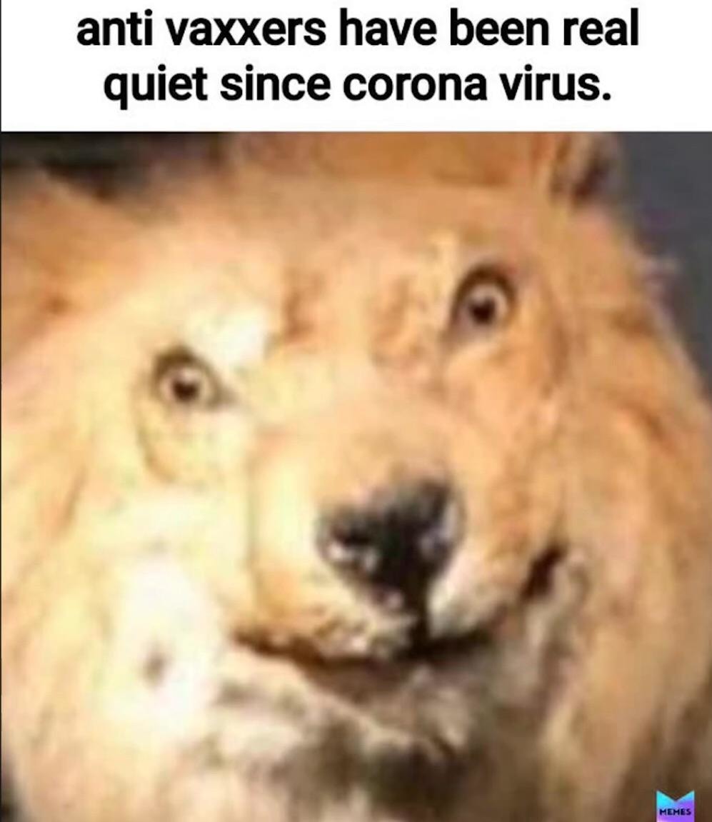 Spongebob Sick Memes