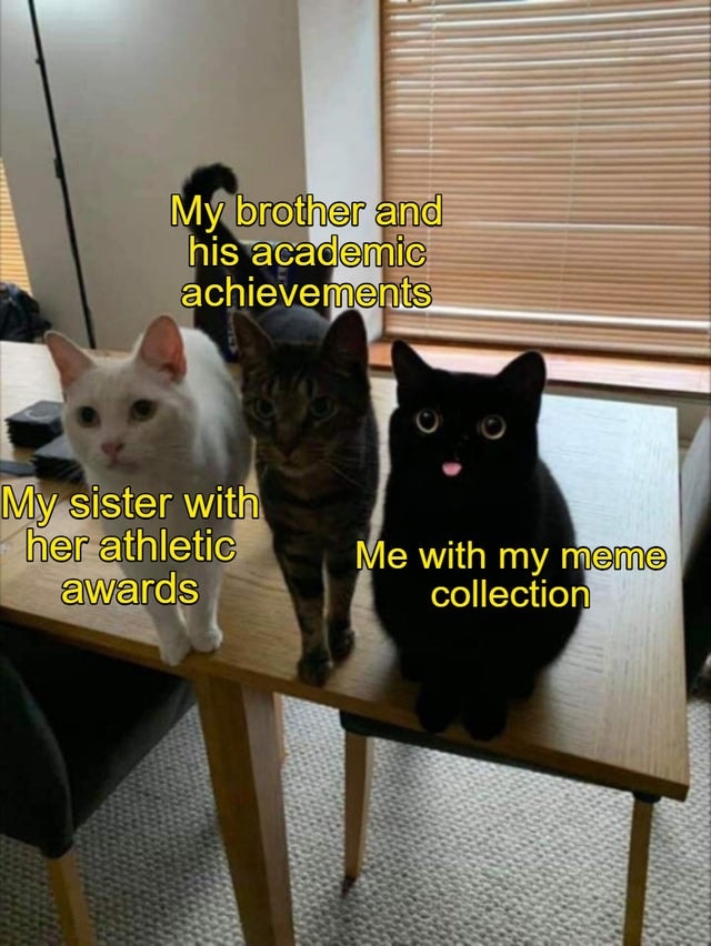 Sibling Memes Make Us Wish We Were An Only Child - Siblings | Memes