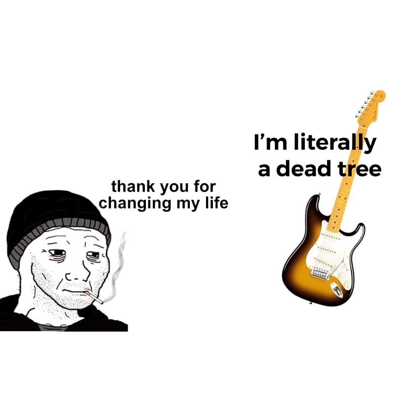 Bass Guitar Memes