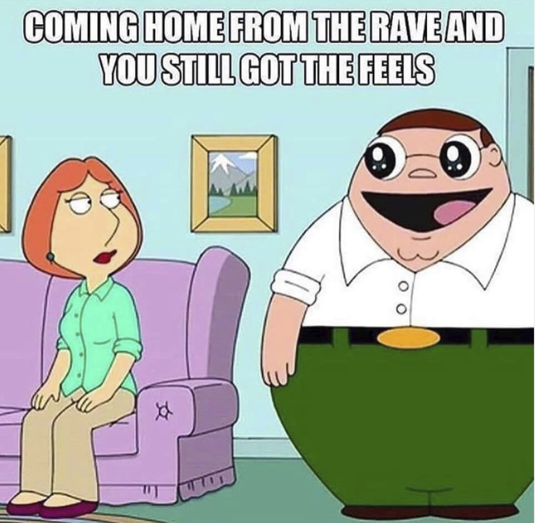 These Best Festival Memes Will Make You High On Life - That Festival ...