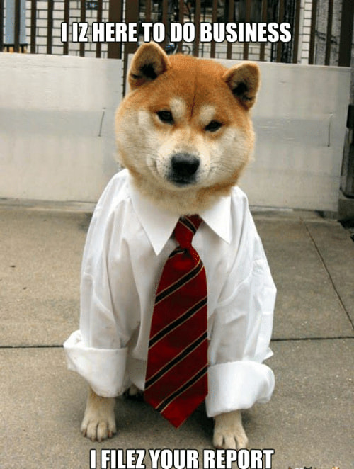 Business Dog Memes | Funniest Business Dog Memes | Memes